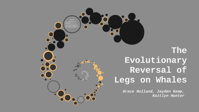The Evolutionary Reversal of Legs on Whales by Kaitlyn Hunter on Prezi
