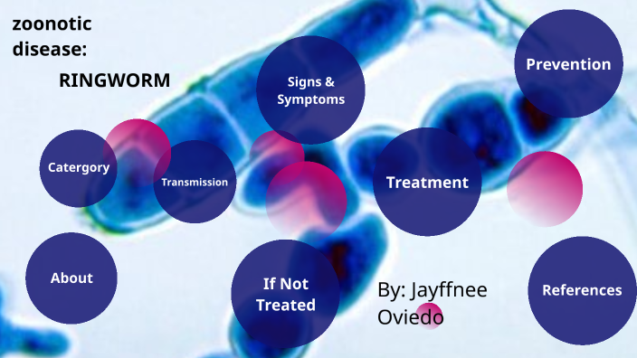 Zoonotic Disease: Ringworm by jayffnee o on Prezi