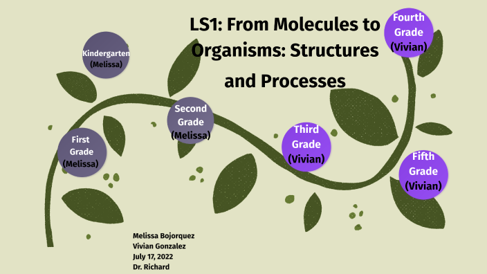 Learning Progressions Assignment: LS1 From Molecules to Organisms ...