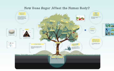 How Does Sugar Affect the Human Body? by Constantinos Kontozis on Prezi