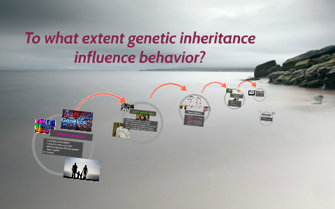To what extent genetic inheritance influence behavior? by Cheyenne Begay on Prezi