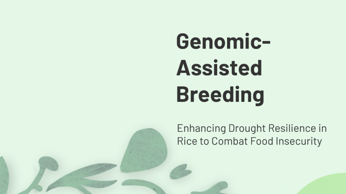 Genomic-Assisted Breeding by Caroline Briley on Prezi