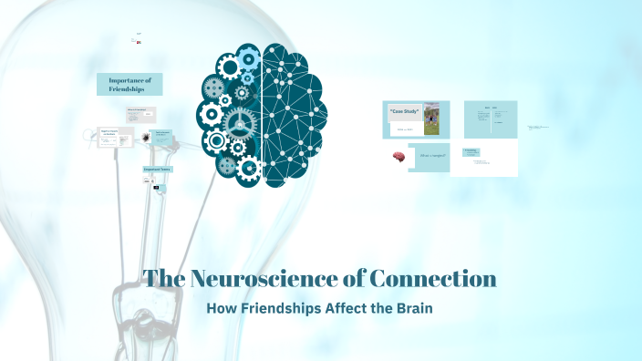 The Neuroscience of Connection by Harper Wansley on Prezi
