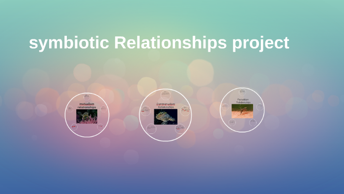 symbiotic relationships by Katie Weaver on Prezi