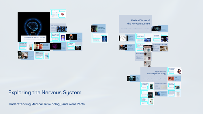 Exploring the Nervous System by Anthony Simons on Prezi
