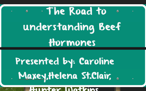 The Road to understanding Beef Hormones by Helena St.Clair on Prezi