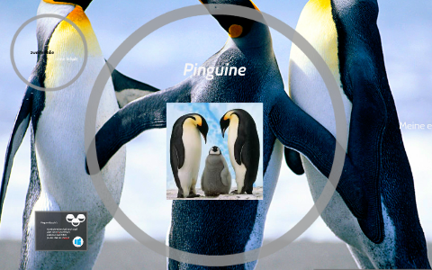 Meine erste Prezi by Victoria Rieder on Prezi