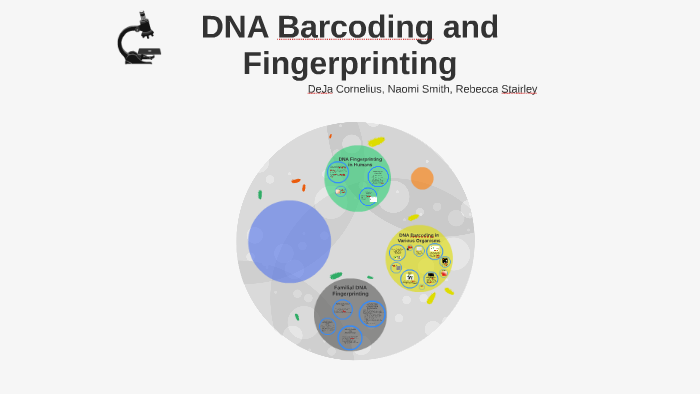 DNA Barcoding and Fingerprinting by DeJa Cornelius on Prezi