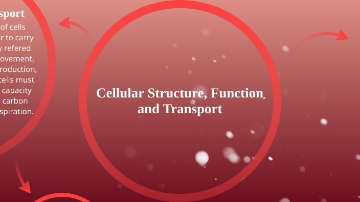 Cellular Structure, Function and Transport by Fay Joynson-Crosby on Prezi