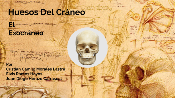 Exocraneo by Chris Lastre on Prezi