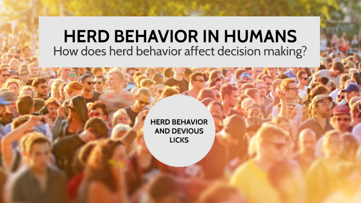 HERD BEHAVIOR by Johnathan Bodnar on Prezi
