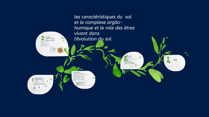 les caractéristiques chimiques du sol et l’importance du complexe ...