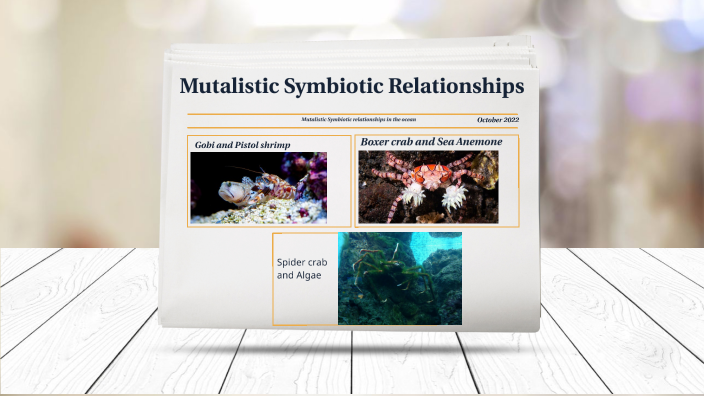 symbiotic relationship by Luke Rauner on Prezi