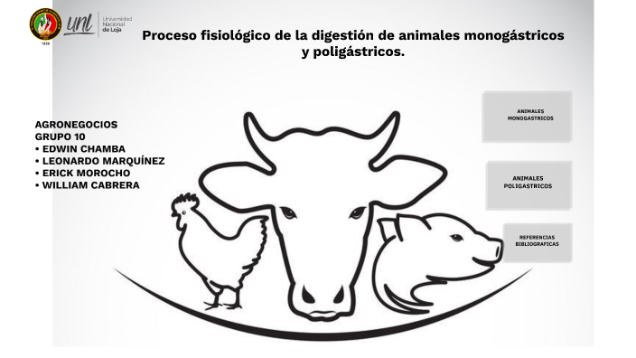 PROCESOS FISIOLOGICOS DE ANIMALES POLIGASTRICOS Y MONOGASTRICOS by ...