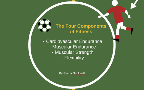 The Four Components of Fitness by Emma Nankivell on Prezi