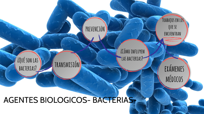 Agentes biológicos -Bacterias- by nicolas kraisellvurd on Prezi
