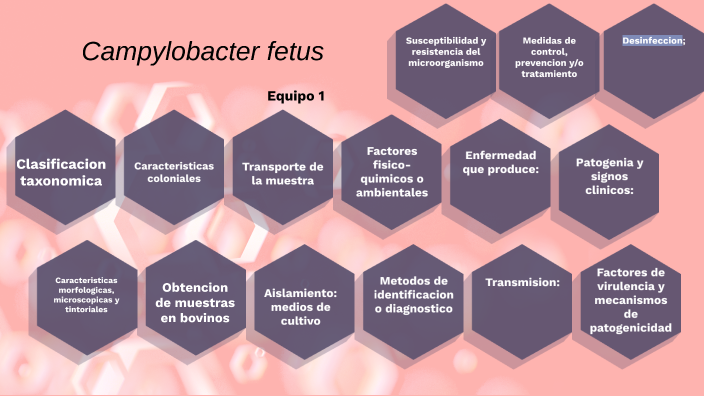 Campylobacter fetus by Daniel Valdez on Prezi