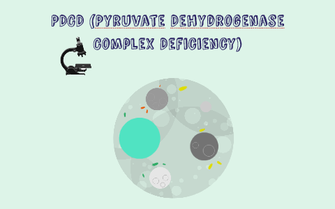PDCD (Pyruvate Dehydrogenase Complex Deficiency) by Gagandeep Kaur on Prezi