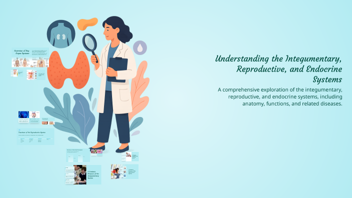 Understanding the Integumentary, Reproductive, and Endocrine Systems by ...
