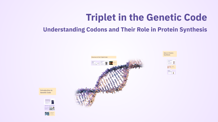 Triplet in the Genetic Code by abdelrahman 4815 on Prezi