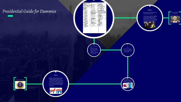 Presidential Election for Dummies by Magnus Sorgenfri