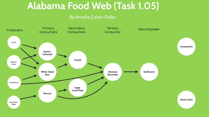 Alabama Food Web Project by amelia f on Prezi