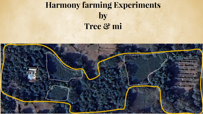 Harmony farming by Bujad Sir farm by Ashish Bujad on Prezi
