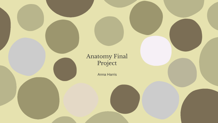 Anatomy Final Project by Anna Harris on Prezi