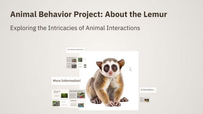 Animal Behavior Project by Mason Wilson on Prezi