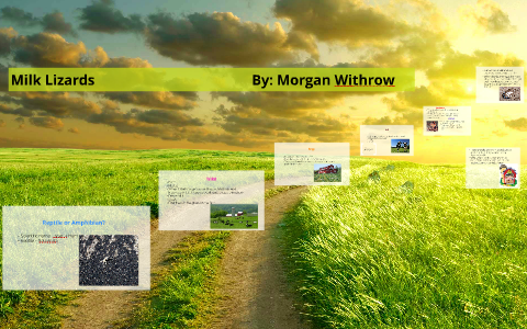 Milk Lizards by Morgan Withrow on Prezi