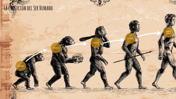 arbol genealogico by Marcos Faus Polo on Prezi
