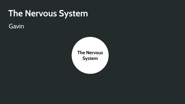 Final Project - Nervous System by John Grindstaff on Prezi