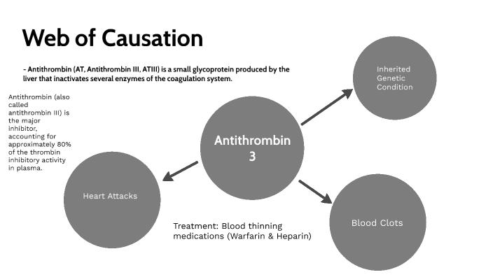 Web of Causation by Koby Smith on Prezi