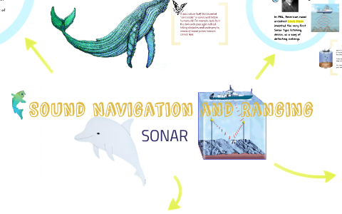 Sound Navigation and Ranging by Karla Martinez on Prezi