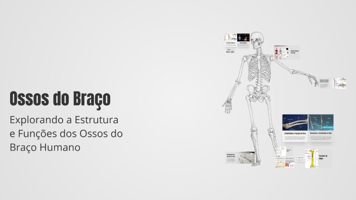 Ossos Do Braço By Marcos Paulo On Prezi
