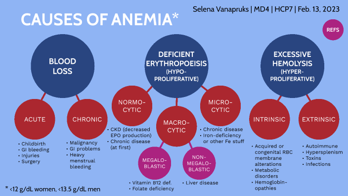causes of anemias by Selena Vanapruks on Prezi