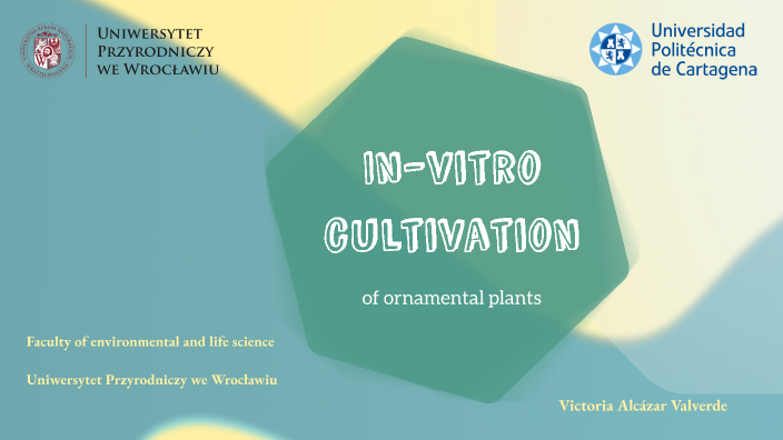 In vitro cultivation by Victoria Alcázar on Prezi