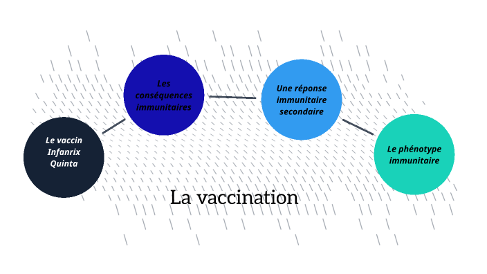 Le Vaccin : Infanrix Quinta by Naziré Kocak on Prezi