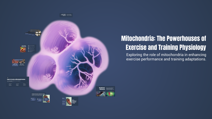 Mitochondria: The Powerhouses of Exercise and Training Physiology by ...
