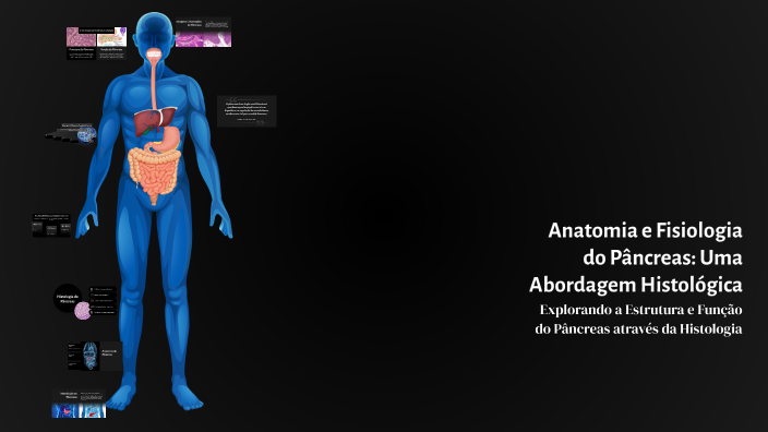 Anatomia e Fisiologia do Pâncreas: Uma Abordagem Histológica by Diana ...