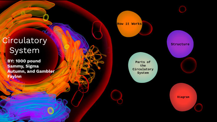 The Circulatory System by Autumn Connors on Prezi