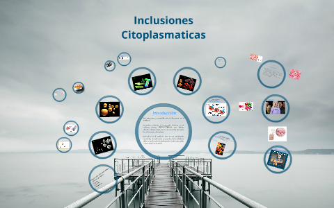 Inclusiones Citoplasmaticas by Biroh Vlad on Prezi