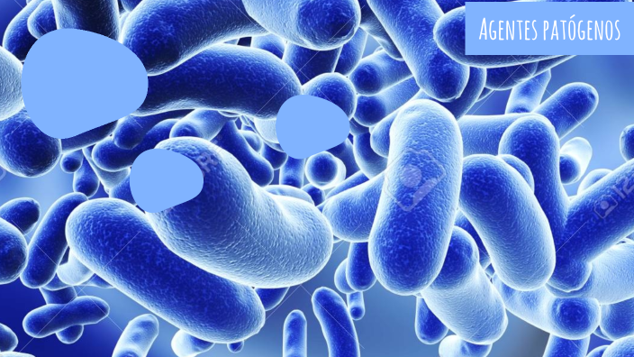 Agentes patógenos by valentina salazar on Prezi