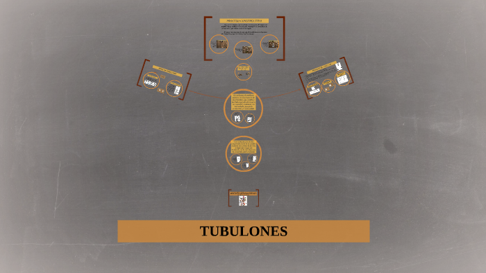 Tubulones by María Marcela Velázquez Rojas on Prezi