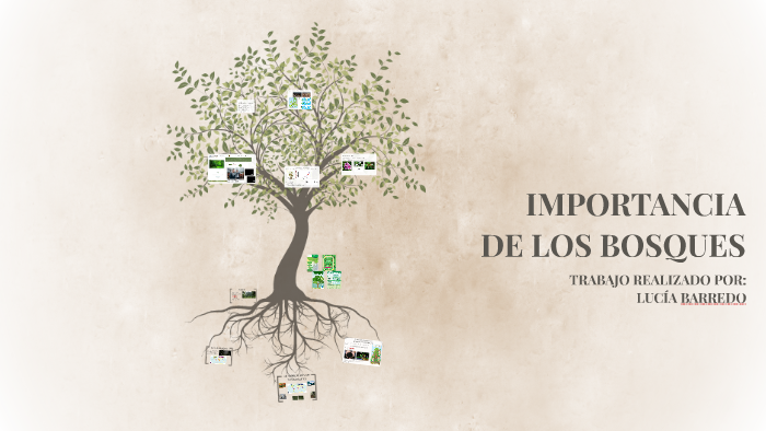 IMPORTANCIA by lucia barredo on Prezi