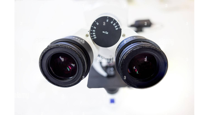 Microscope by Elizabeth Philbrook on Prezi