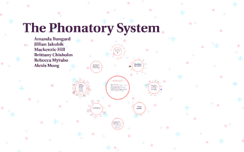 The Phonatory System by Jillian Jakubik on Prezi