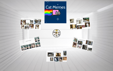 Cat Memes by Judah Ellis on Prezi