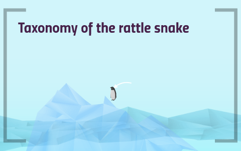 The taxonomy of a rattle snake by nathan ridenour on Prezi