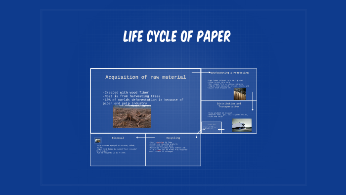 Life cycle of paper by Vanessa Johnston on Prezi
